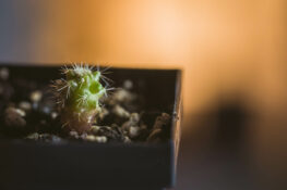 Paperless-ngx: unser Workflow im Detail